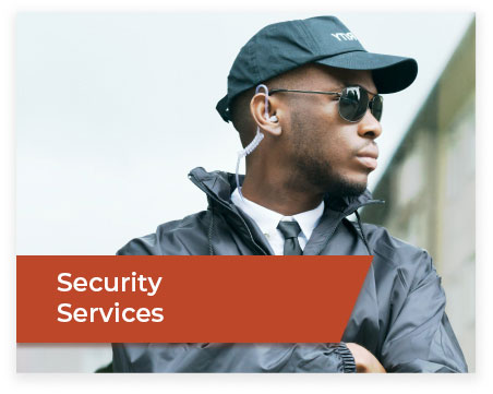 Vista Security & Investigations : Security Solutions