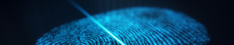 Fingerprinting - Vista Security