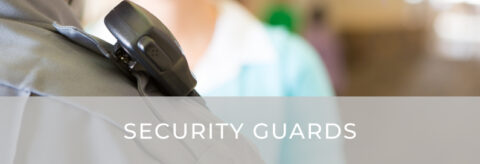 Commercial & Business Security Services | Vista Security